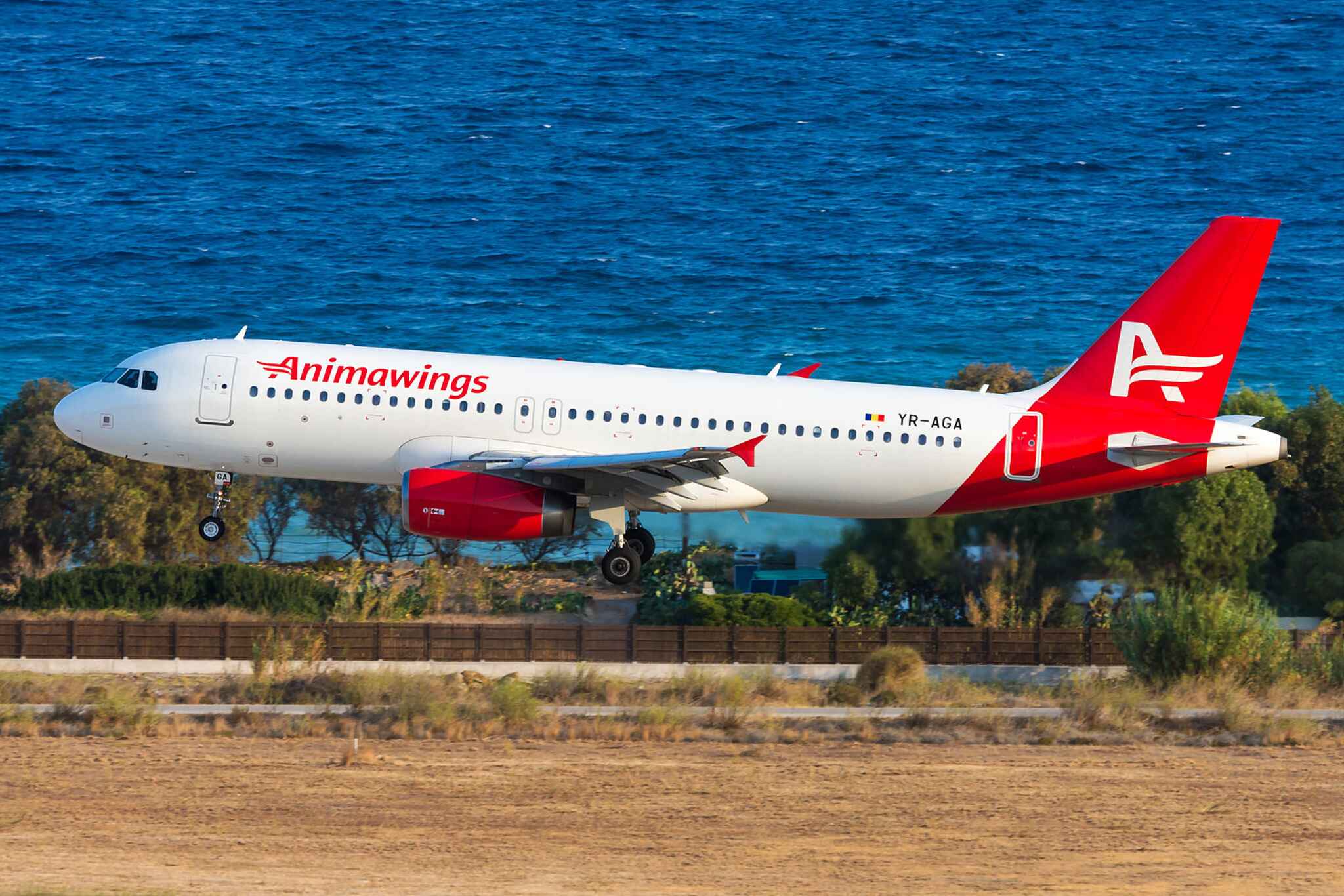 Animawings (România) va avea în flotă un nou tip de avion