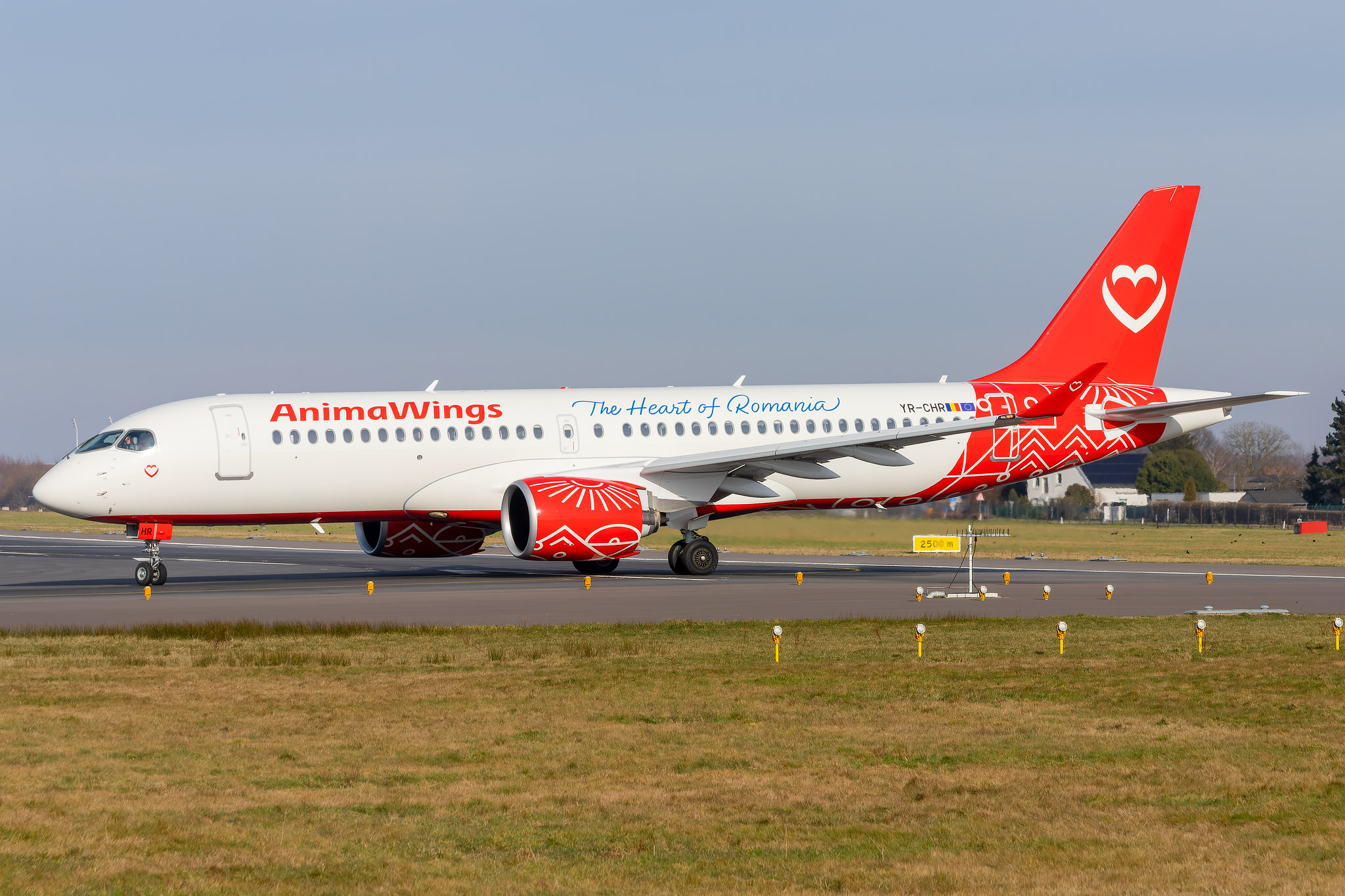 Animawings va zbura din București spre Tel Aviv din octombrie 2025